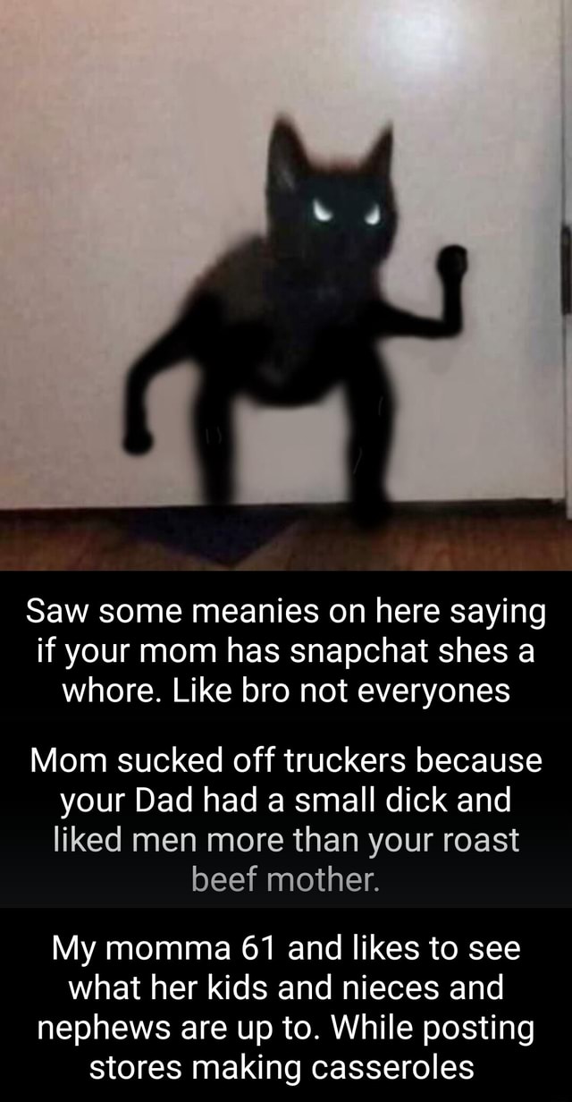 Saw some meanies on here saying if your mom has snapchat shes a whore ...