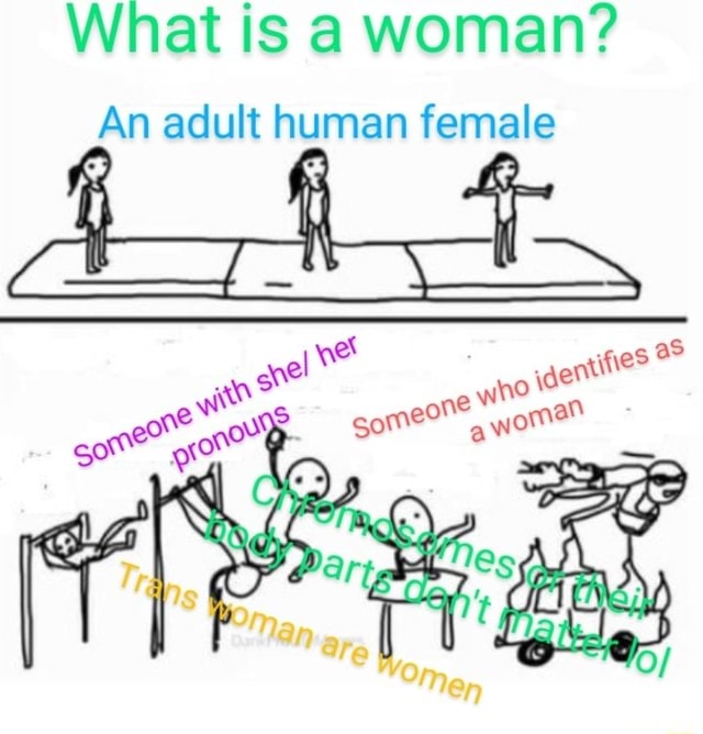 What is a woman? An adult human female awe - iFunny