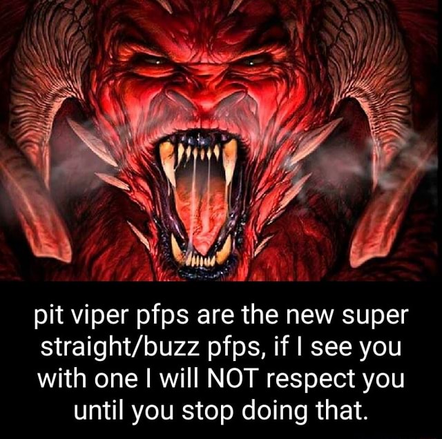 Pit viper pfps are the new super pfps, if I see you with one will NOT ...