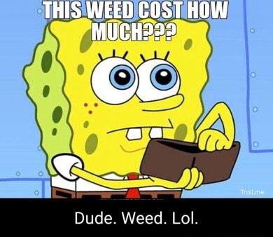 THIS WEED COST HOW cc Dude. Weed. Lol - iFunny