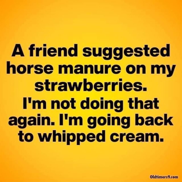 A friend suggested horse manure on my strawberries. I'm not doing that ...