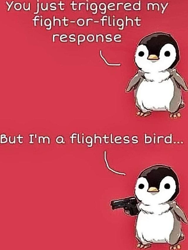 You Just triggered my fight-or-flight response flightless bird... - iFunny