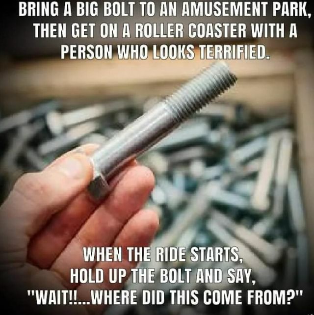 BRING A BIG BOLT TO AN AMUSEMENT PARK, THEN GET ON A ROLLER GOASTER ...