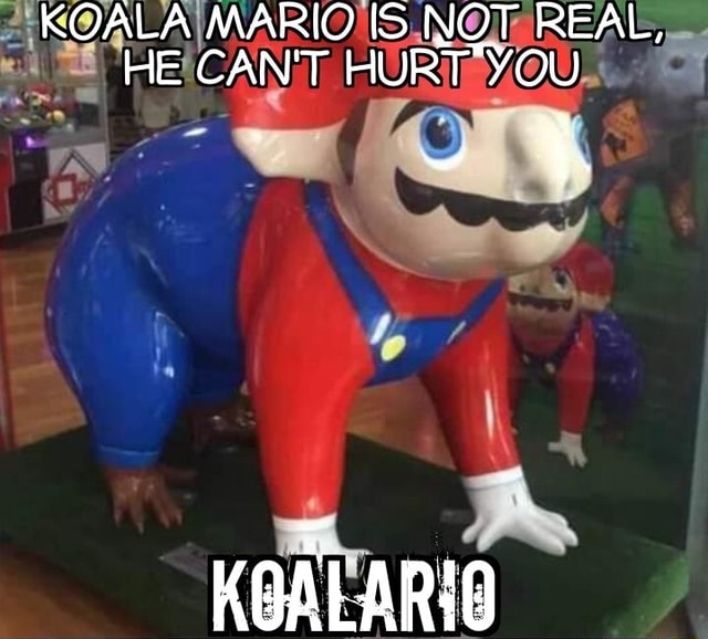 KOALA MARIO IS NOT REAL, HE CAN'T HURT 'YOU ARIA - iFunny