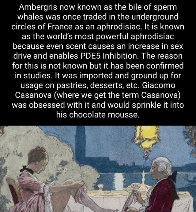 Ambergris now known as the bile of sperm whales was once traded in the ...