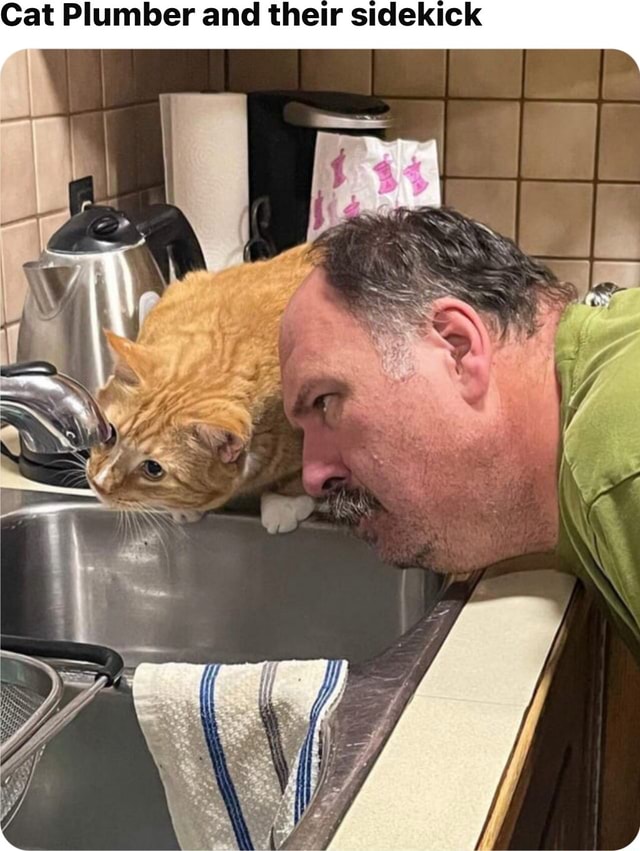 Cat Plumber and their sidekick N af - iFunny