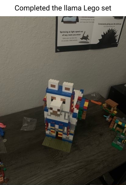 Completed the llama Lego set - iFunny