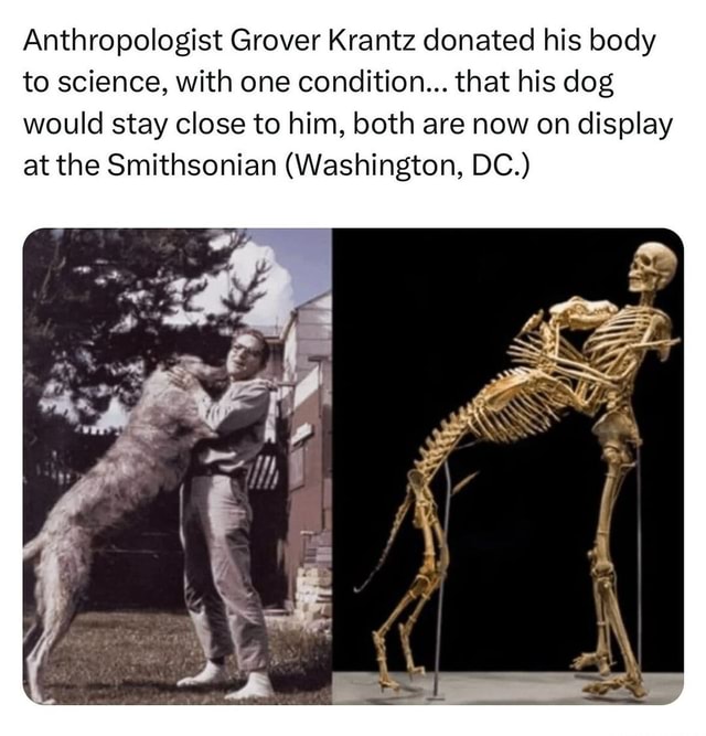 Follow us MEMEIG for daily memes like this Now theyre together forever ...