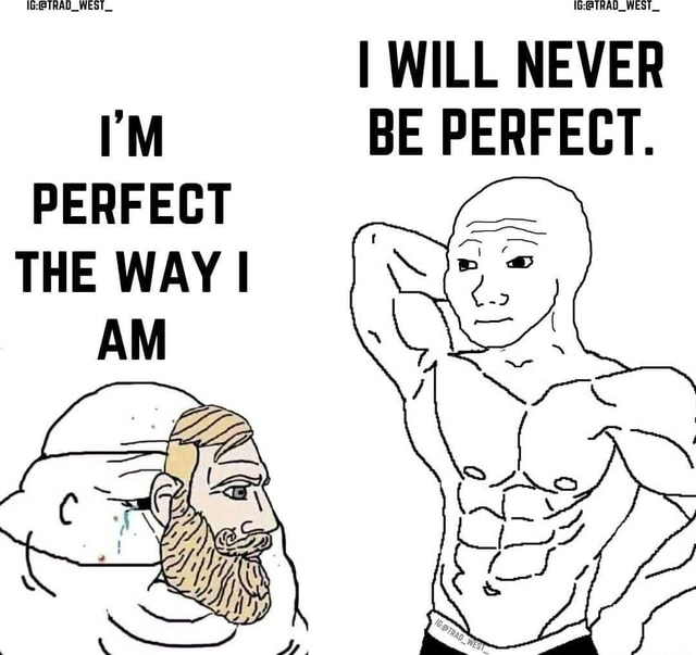 I WILL NEVE I'M BE PERFECT. PERFECT THE WAY I AM - iFunny