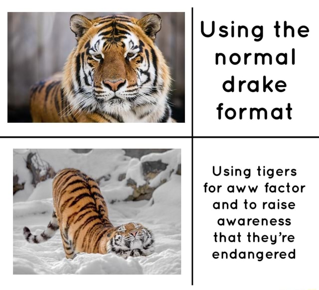 Using the normal drake format Using tigers for aww factor and to raise ...