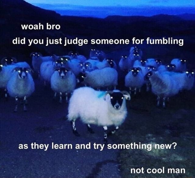 Woah bro did you just judge someone for fumbling as they learn and try ...