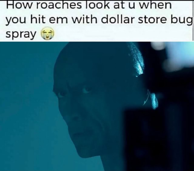 Ow roaches look at u when you hit em with dollar store bug spray - iFunny