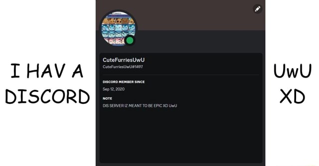I HAV DISCORD UwU XDD XD - CuteFurriesUwU DISCORD MEMBER SINCE Sep 12 ...