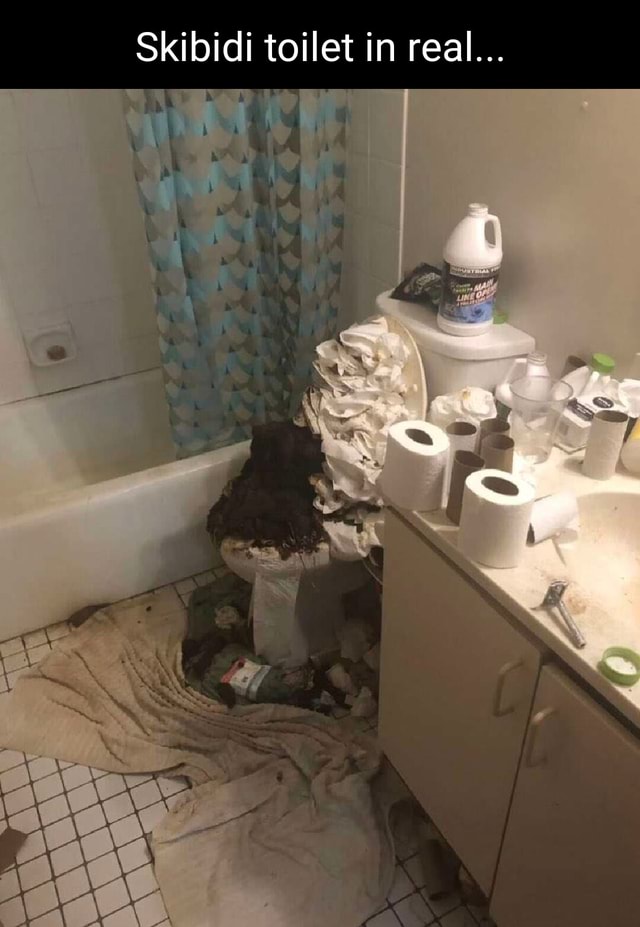 Skibidi toilet in real... - iFunny