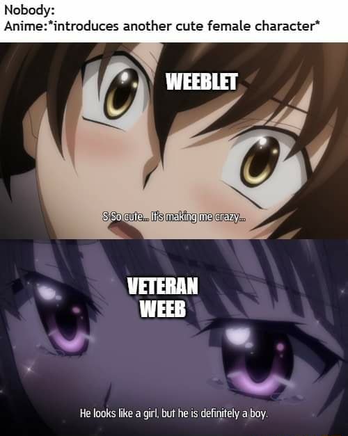 Nobody: Anime: "introduces another cute female character* WEEBLET ...
