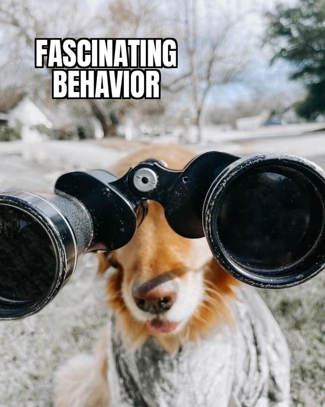 FASCINATING BEHAVIOR - iFunny