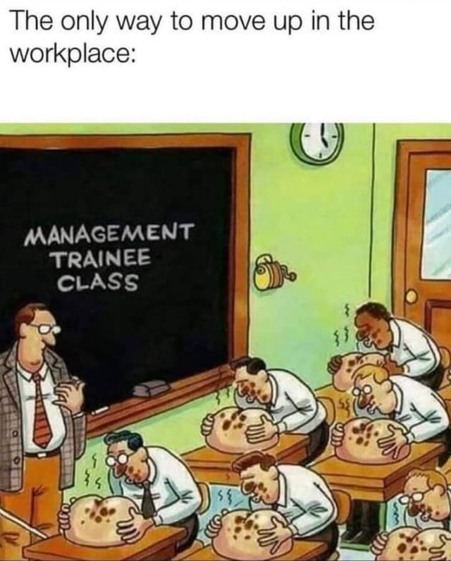 The only way to move up in the workplace: MANAGEMENT TRAINEE CLASS EX ...
