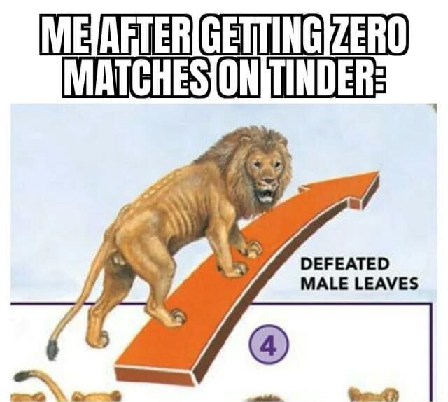 DEFEATED MALE LEAVES - iFunny