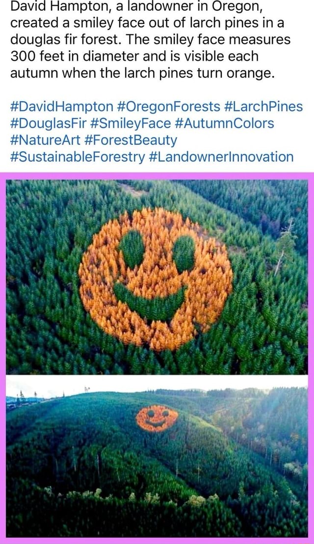 David Hampton, a landowner in Oregon, created a smiley face out of ...
