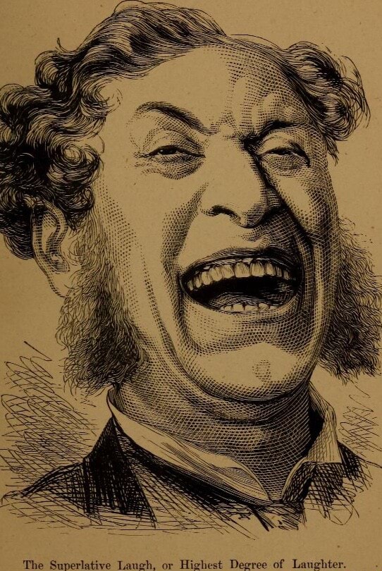 The Superlative Laugh, or Highest Degree of Langhter. - iFunny