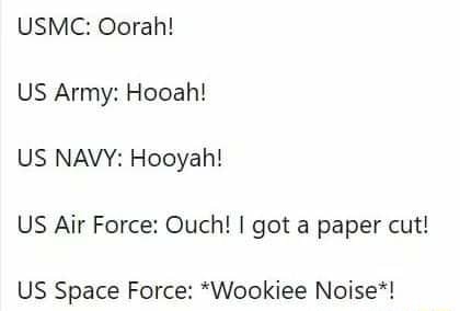 USMC: Oorah! US Army: Hooah! US NAVY: Hooyah! US Air Force: Ouch! I got ...