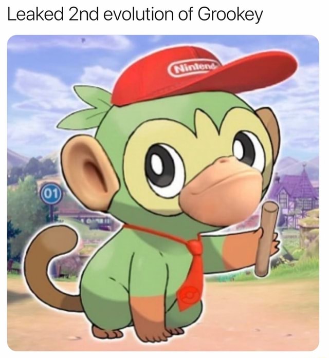Leaked 2nd evolution of Grookey - iFunny