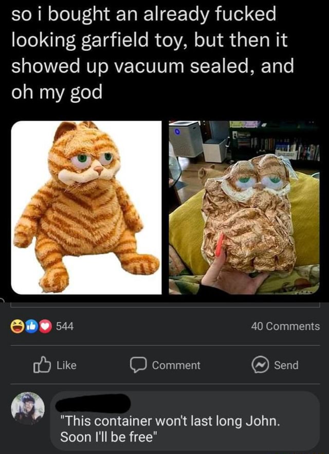 Cursed_garfield - so i bought an already fucked looking garfield toy ...