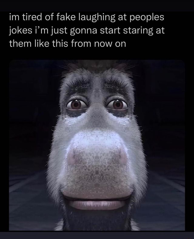Im tired of fake laughing at peoples jokes i'm just gonna start staring ...