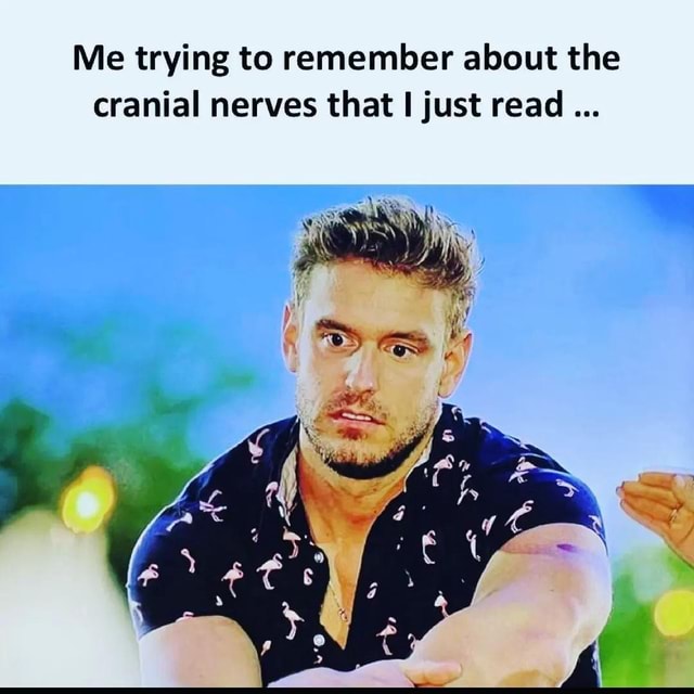 Me trying to remember about the cranial nerves that just read - America ...