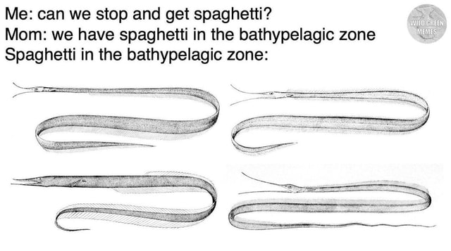 🍝 What is your spaghetti policy here? Meme by @beingevolved - Me: can ...