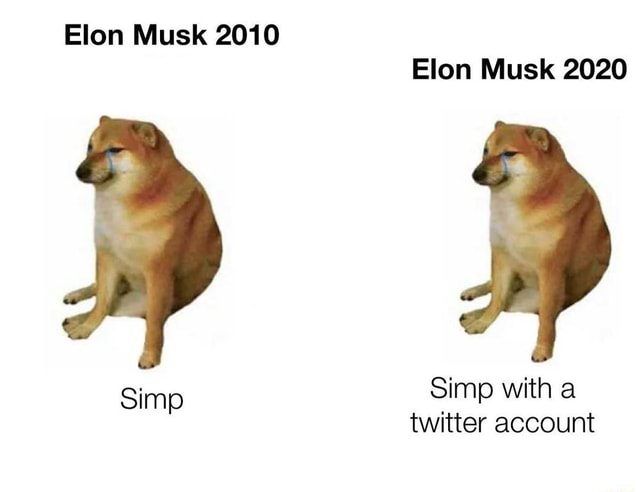 Elon Musk 2010 Elon Musk 2020 Simp Simp with a twitter account - iFunny