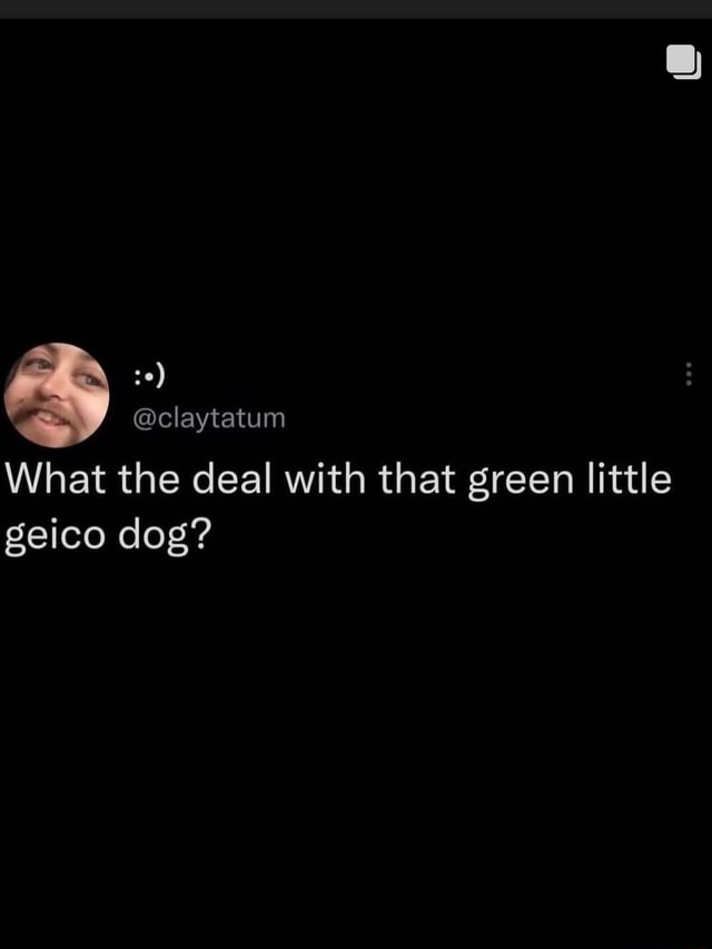 @claytatum What the deal with that green little geico dog? - iFunny