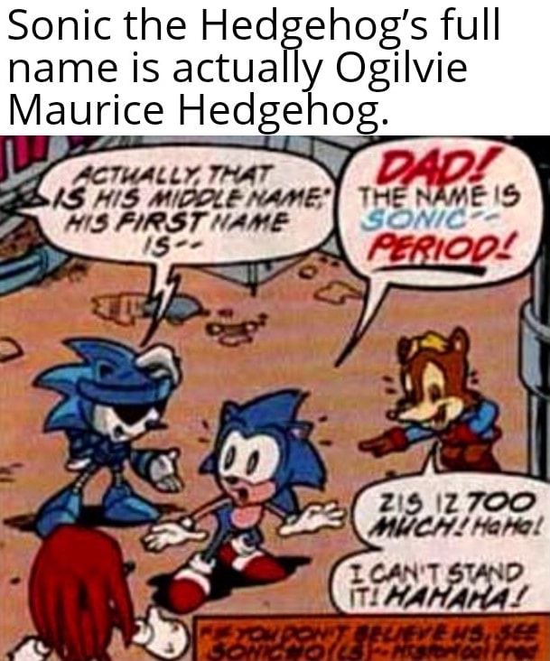 Sonic the Hed ehog’s full name is actua y Ogilvie Maurlec Hedgehog. w ...