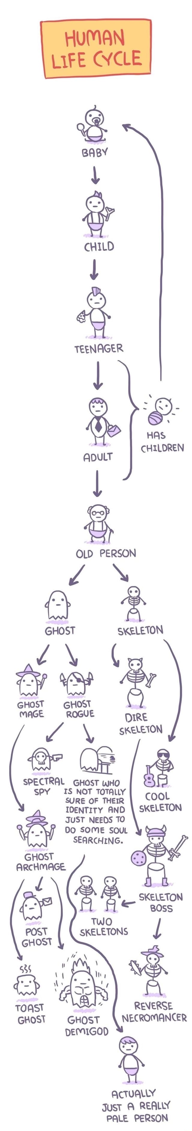 HUMAN LIFE CYCLE BABY HAS CHILDREN TEENAGER ADULT OLD PERSON GHOST ...