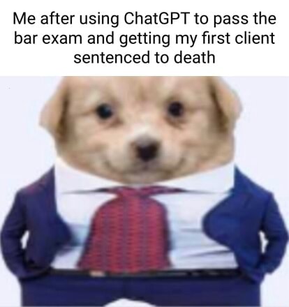 Me after using ChatGPT to pass the bar exam and getting my first client ...