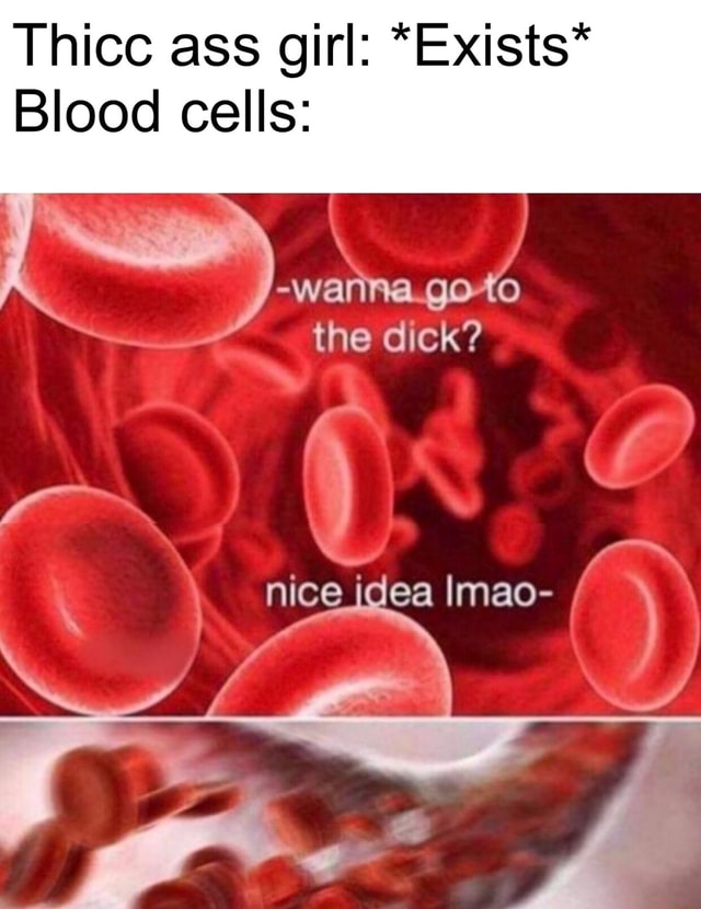 Thicc ass girl: *Exists* Blood cells: - iFunny