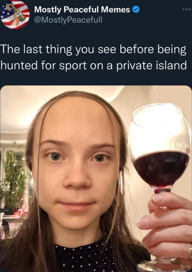 Mostly Peaceful Memes The last thing you see before being hunted for ...