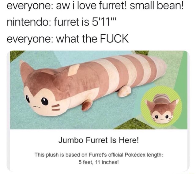 Everyone: aw i love furret! small bean! nintendo: furret is 5'11 ...