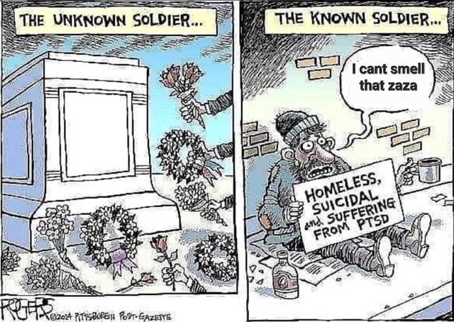 THE UNKNOWN SOLDIER... I cant smell that zaza - iFunny