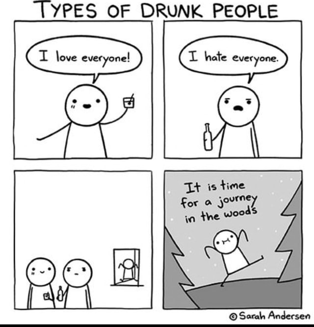 'TYPES OF DRUNK PEOPLE Sarah Andersen - iFunny