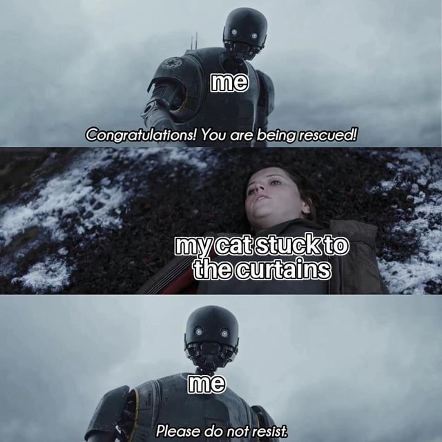 Congratulations You Are Being Rescued Carstuckto the Ecurtains congratulations-you-are-being-rescued-carstuckto-the-ecurtains