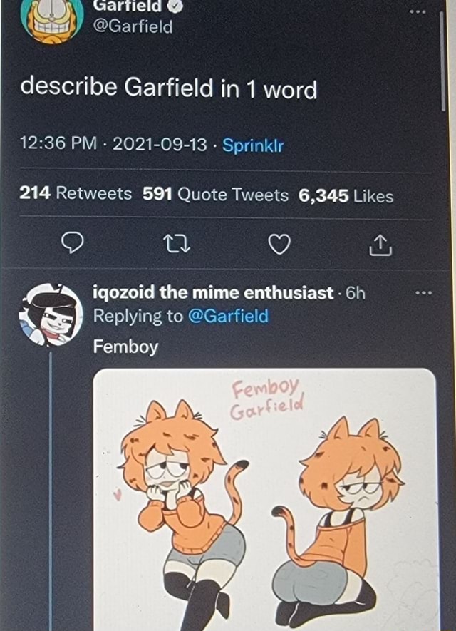 WE) @Garfield describe Garfield in 1 word PM - 2021-09-13 - Sprinklr iqozoid the mime enthusiast ...