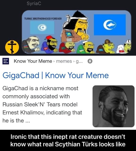 Know Your Meme> memes >g... @ GigaChad I Know Your Meme GigaChad is a ...