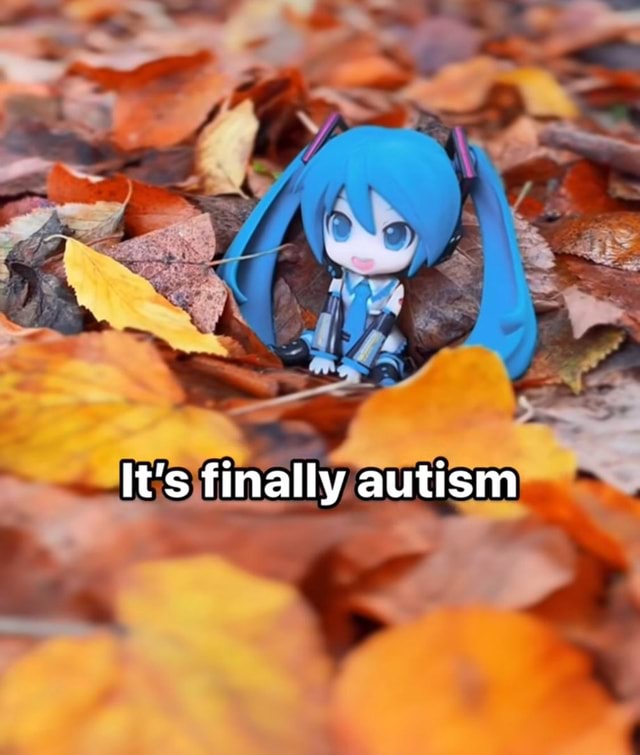 It's finally autism - iFunny