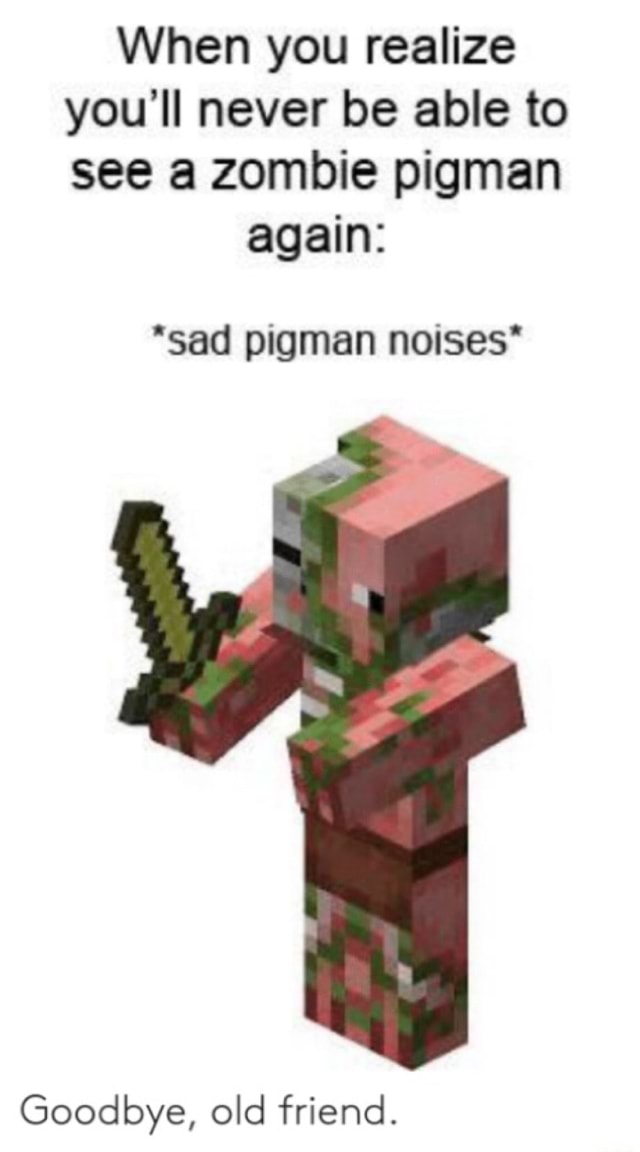 When you realize you'll never be able to see a zombie pigman again ...