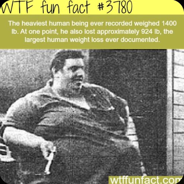 The heaviest human being ever recorded weighed 1400 lo. At one point ...