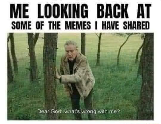 ME LOOKING BACK AT SOME OF THE MEMES I HAVE SHARED Dear God! What's ...