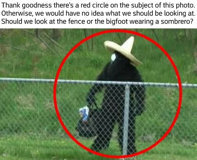 Thank Goodness There s A Red Circle On The Subject Of This Photo thank-goodness-there-s-a-red-circle-on-the-subject-of-this-photo