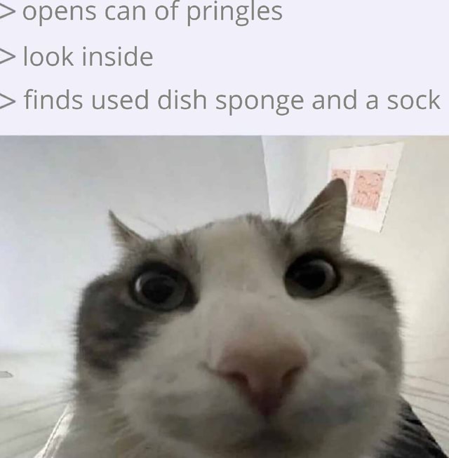 > opens can of pringles > look inside > finds used dish sponge and a ...