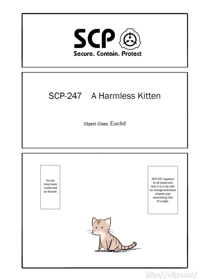 Secure. Contain. Protect SCP-247 A Harmless Kitten Object Class: Euclid - iFunny